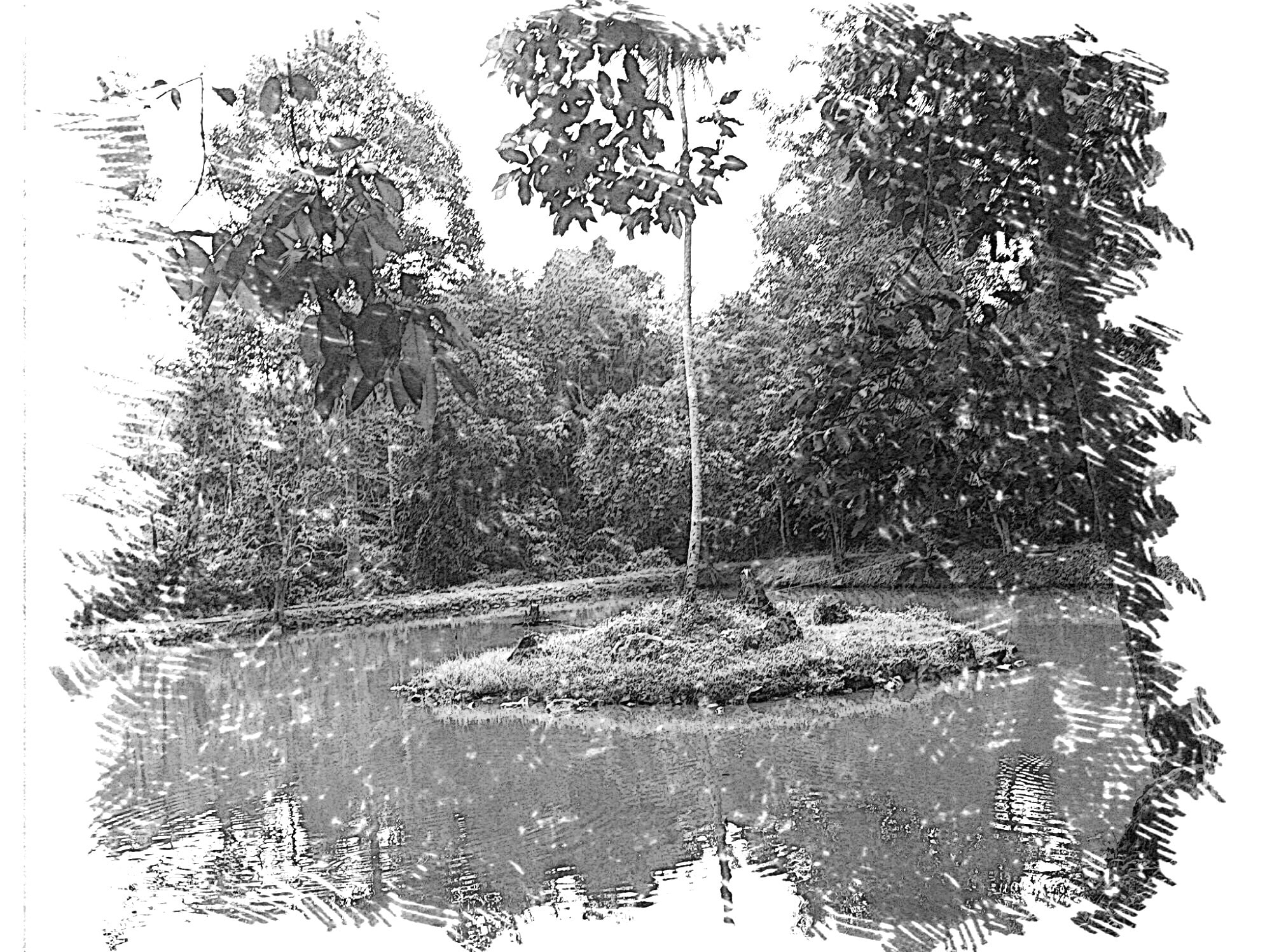 Suan Mokkh meditation retreat – The meaning of three ponds
